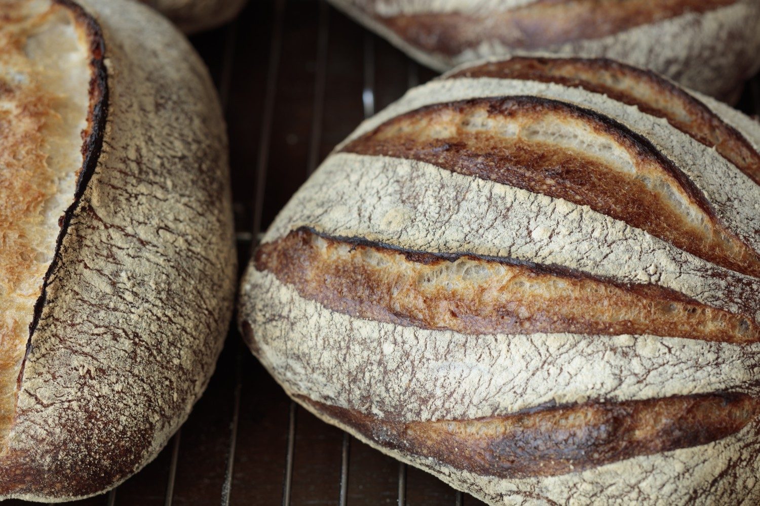 KANEL BREAD | BREAD LAB